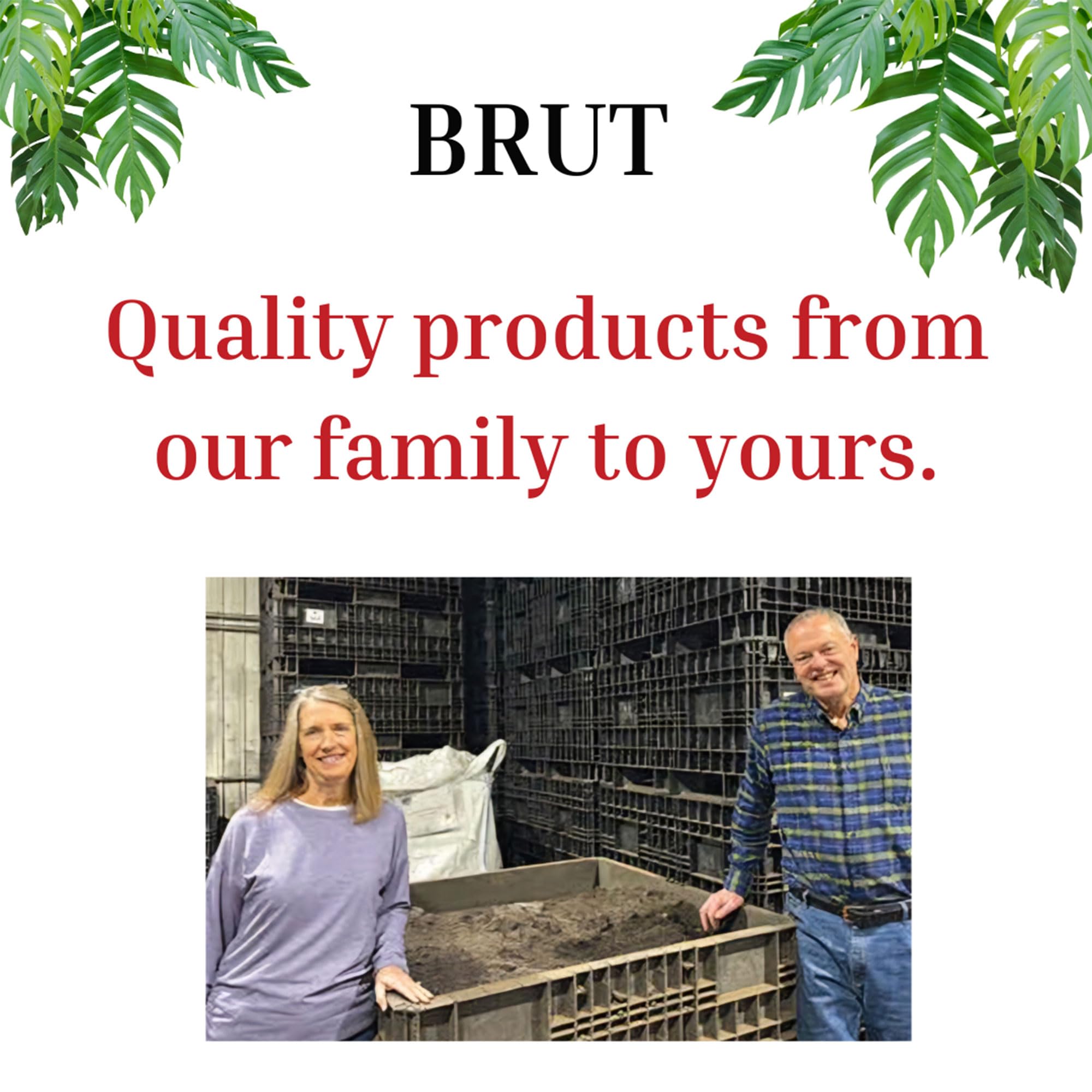 Brut Organic Potting Soil – 1 CF – Everything Your Plants Need in one Bag. Indoor and Outdoor Container Plants. 2 Pack