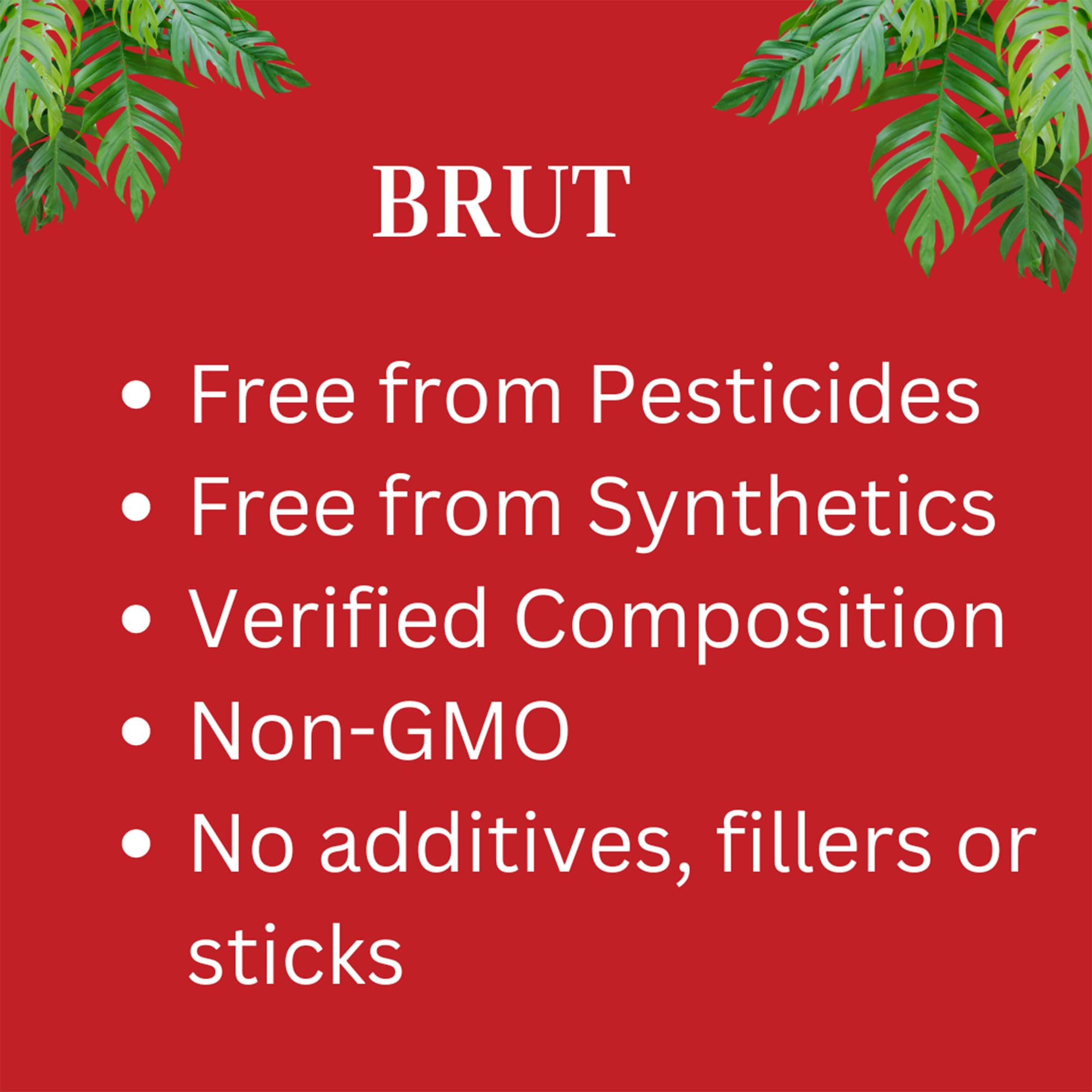 Brut Organic Potting Soil – 1 CF – Everything Your Plants Need in one Bag. Indoor and Outdoor Container Plants. 2 Pack