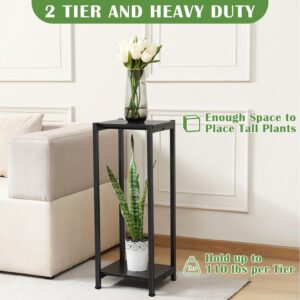 Dipion Tall Plant Stand Indoor,31 Inch Plant Stands,2 Tier Metal Plant Stand with Heavy Duty Wood,Black