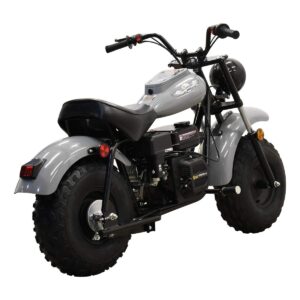 Massimo Motor Warrior200 196CC, 6.5 HP Engine Super Size Mini Moto Trail Bike MX Street for Adults. Wide Tires Motorcycle Powersport CARB Approved (Gray)