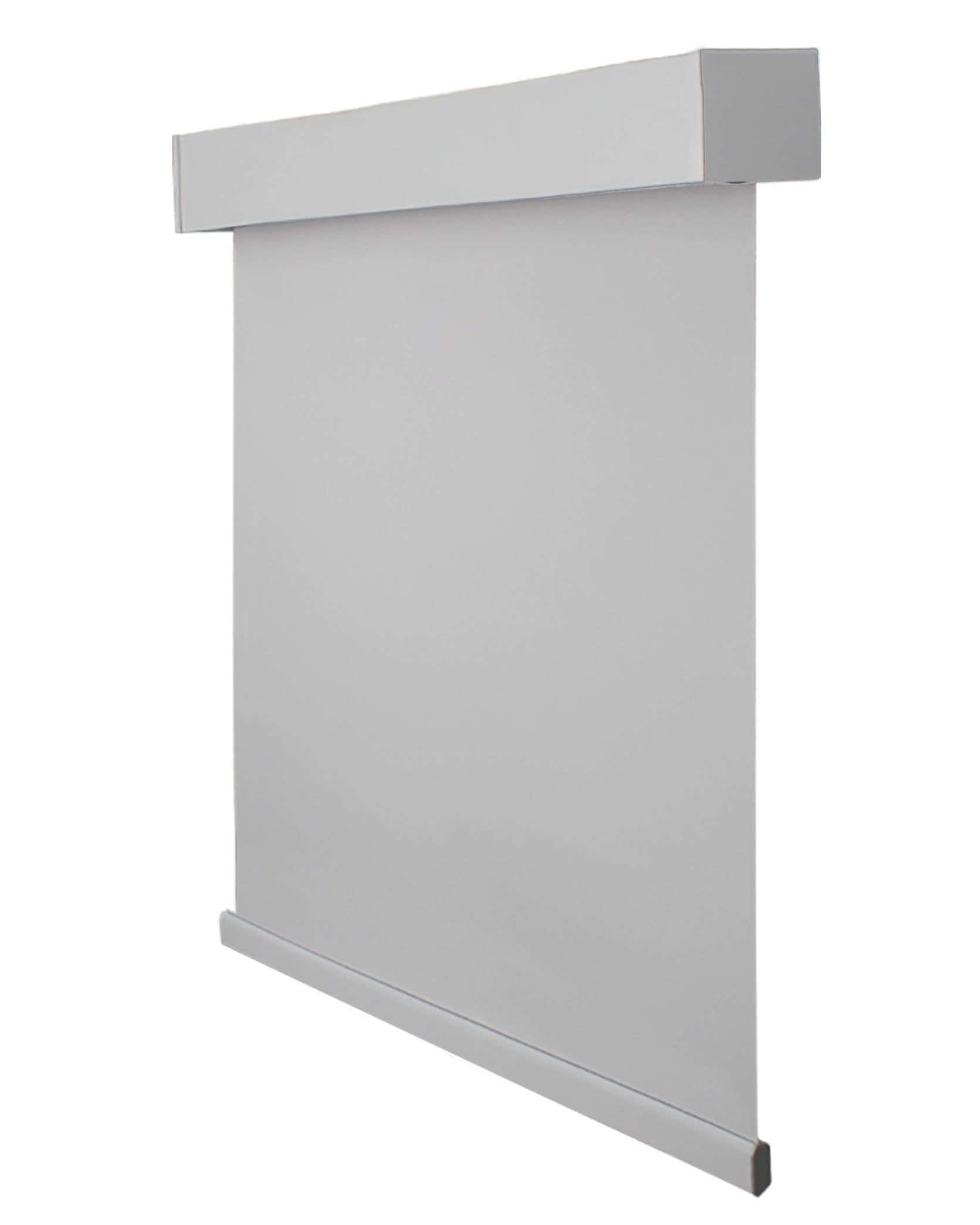 CALYX INTERIORS Blackout Roller Shade with Valance, Thermal Insulating Blind, Cordless, 34" W x 60" H, Light Gray