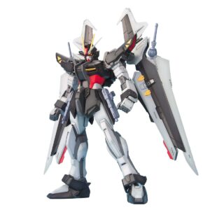 bandai strike noir gundam, gundam seed stargazer, mg