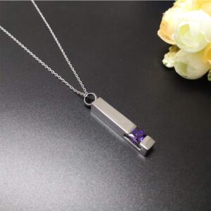 RIMZVIUX Vertical Bar Zircon Cremation Jewelry for Ashes Men Women Urn Necklace for Ashes Mom Dad Grandpa Grandma …