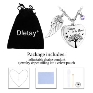 Dletay Heart Urn Necklace for Ashes Cremation Jewelry with 12 Birthstones Stainless Steel Memorial Pendant Ashes Necklace for Loved Ones-Silver