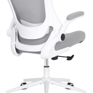 Misolant Desk Chair, Mesh Office Chair, Ergo Chair, Ergonomic Office Chair with Adjustable Lumbar Support and Height, Office Desk Chair 360°Swivel Office Chair (Light Gray)