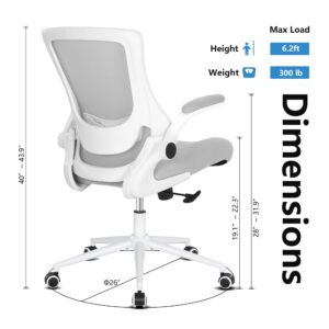 Misolant Desk Chair, Mesh Office Chair, Ergo Chair, Ergonomic Office Chair with Adjustable Lumbar Support and Height, Office Desk Chair 360°Swivel Office Chair (Light Gray)