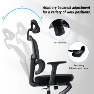 DOXACEF Ergonomic Office Chair with Footrest Lumbar Support High Back Desk Chair Mesh Computer Chair with Adjustable 3D Armrest Breathable for Adults Reclining Chair (Black)