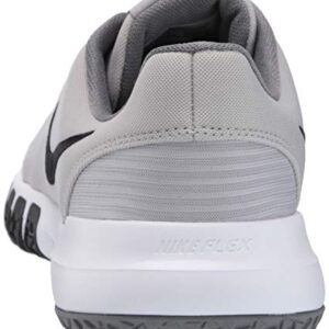 Nike Men's Flex Control TR4 Cross Trainer, Light Smoke Grey/Blacksmoke Grey-Dark Smoke Greywhite, 10.5 Regular US