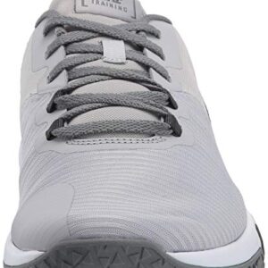 Nike Men's Flex Control TR4 Cross Trainer, Light Smoke Grey/Blacksmoke Grey-Dark Smoke Greywhite, 10.5 Regular US