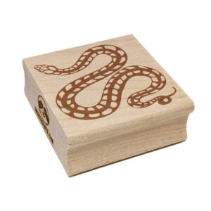 winding striped snake square rubber stamp for stamping crafting - 1.75in medium