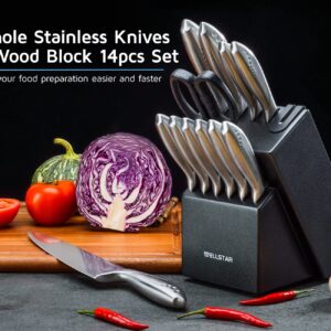 WELLSTAR Knife Set, Super Sharp German Stainless Steel Kitchen Knives Set with Wooden Block, Durable All Stainless Steel Handle, Chef’s Knife Block Set 14-Piece with Scissors and Built-in Sharpener