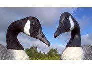 canada goose head decoy flocking kit - 50 heads