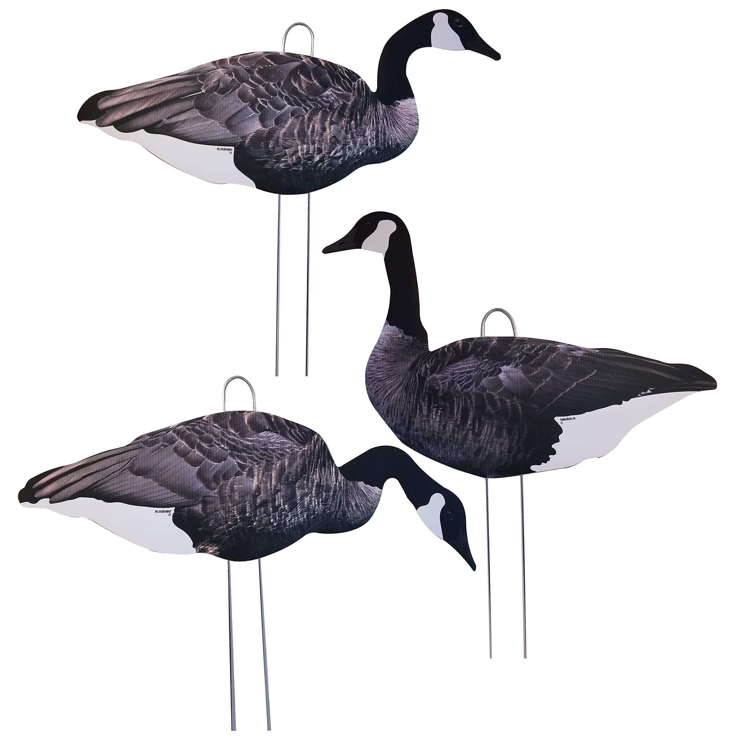 Top Down Decoys Silhouette Goose Decoy CV246 - Canada Goose Decoy 12pcs - Vertical Silhouette Goose Decoys