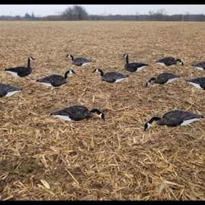 Top Down Decoys Silhouette Goose Decoy CV246 - Canada Goose Decoy 12pcs - Vertical Silhouette Goose Decoys