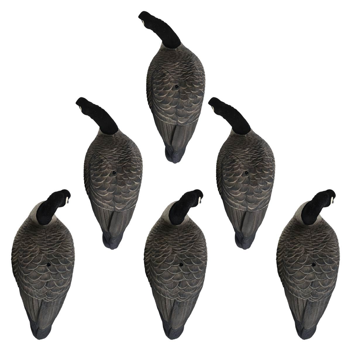 Hardcore Waterfowl Rugged Series Full Body Flocked Head Canada Goose Hunting Decoys - Feeder 6 Pack