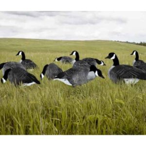 White Rock Printed Canada Goose Silhouette Decoys - 1 Dozen