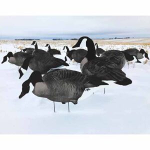 White Rock Printed Canada Goose Silhouette Decoys - 1 Dozen