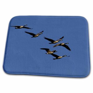 3drose - canada geese, grand teton np, wyoming - us51 pox0040 - pete oxford - bathroom bath rug mat - (rug-97516-1)