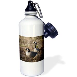 3drose usa, oregon, baskett slough nwr, pair of canada geese. -sports water bottle, 21oz , 21 oz, multicolor