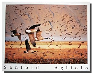 canada geese flying birds animal wall decor art poster print (16x20)