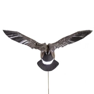 Higdon Outdoors Clone Canada Goose Flapping Motion Decoy with Adjustable Wing Speed