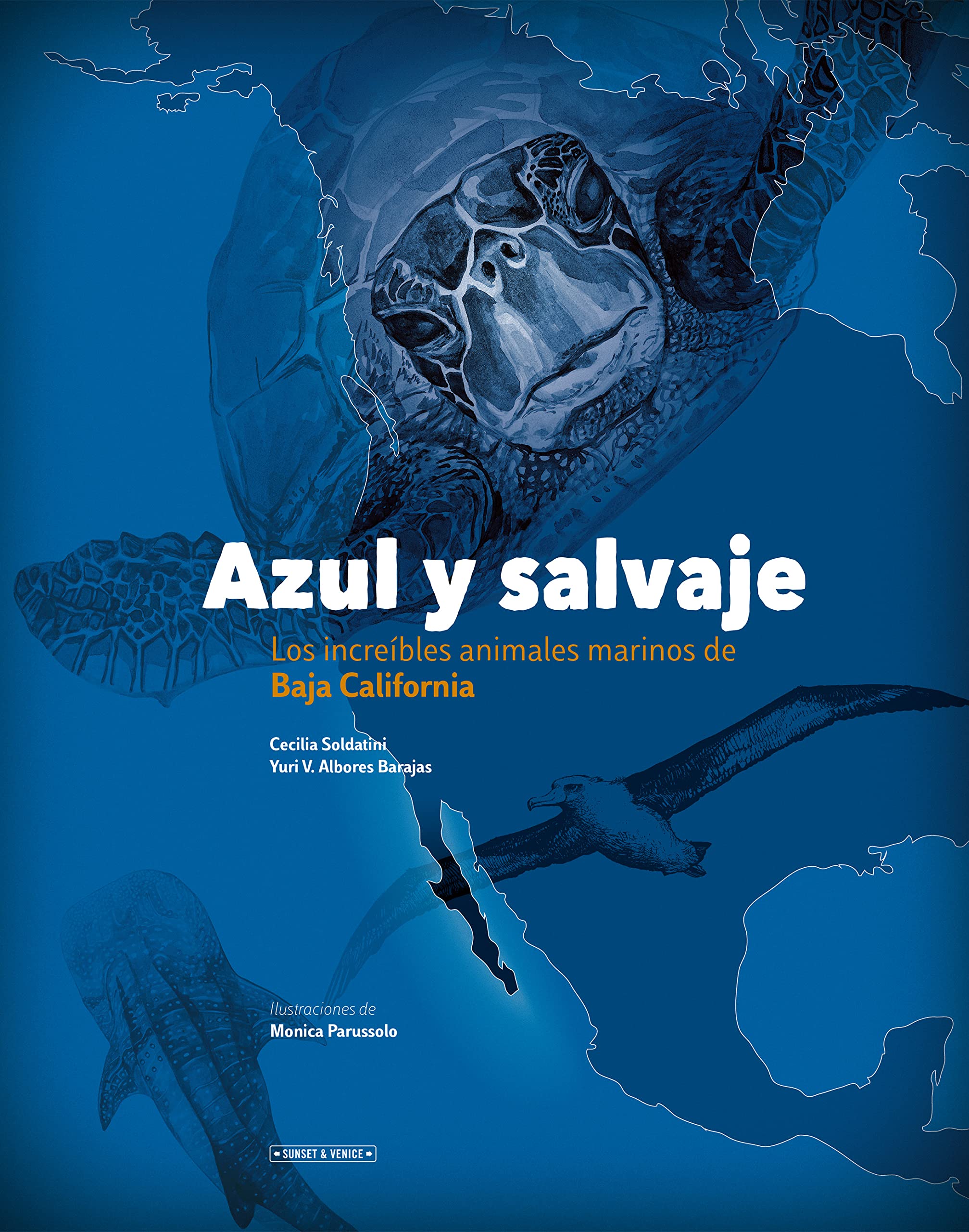 Azul y Salvaje: Los Increíbles Animales Marinos de Baja California (Spanish Edition)