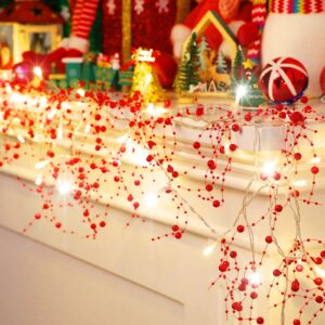 riakrum 16.5 feet winter berry beaded garland string light valentines day mantle decor acrylic pearl warm led lights festive lighted battery operated indoor garland for xmas home party decor