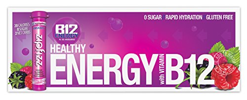 Zipfizz Energy Drink Mix, Electrolyte Hydration Powder with B12 and Multi Vitamin, Berry (20 Count)