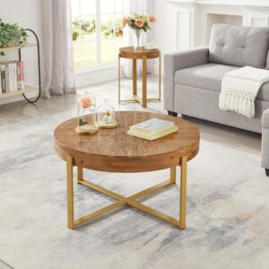 Gexpusm Round Wood End Table for Living Room, 2 Tier Farmhouse Circle Side Table, Rustic Mid-Century Wooden End Table for Apartment, Easy Assembly (Coffee Table, Ct-espresso,metal Leg)