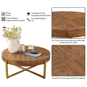 Gexpusm Round Wood End Table for Living Room, 2 Tier Farmhouse Circle Side Table, Rustic Mid-Century Wooden End Table for Apartment, Easy Assembly (Coffee Table, Ct-espresso,metal Leg)