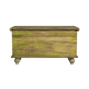 Beaumont Lane Rustic Mango Wood Trunk Coffee Table in Oak Brown