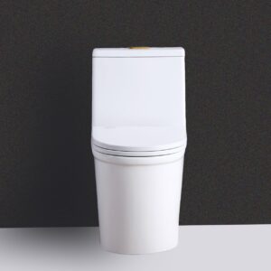 WinZo 23-inch Small Toilet One Piece with Golden Push Button Modern Design For Compact Narrow Bathroom 12" Rough-in White