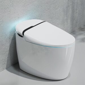 one piece elongated smart bidet toilet with massage washing, auto flush, heated seat and integrated multi function remote control, white