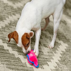 Outward Hound Durablez Tough Plush Squeaky Dog Toy, Pig, Pink, XS