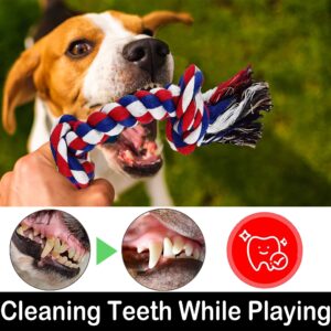 LosFong Large Dog Chew Toys for Aggressive Chewers, 12 Pack Indestructible Dog Rope Toys for Large Breeds, Heavy Duty Dental Cotton Rope Dog Toys, Puppy Teething Chew Toys, Tug of War Dog Toy