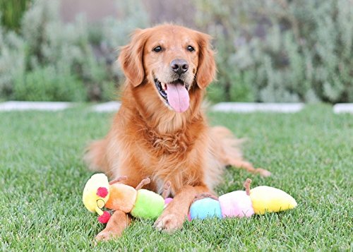 ZippyPaws - Colorful Caterpillar Dog Toy, Rainbow Dog Toy with Squeakers, Plush Dog Toys for Aggressive Chewers, Summer Dog Toys, Rainbow Dog Pride Accessories