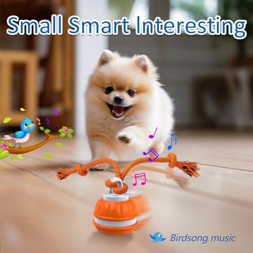 Sofolor Interactive Dog Toys, Motion Activated Dog Ball, Automatic Rolling Ball Toys for Puppy/Small Dogs