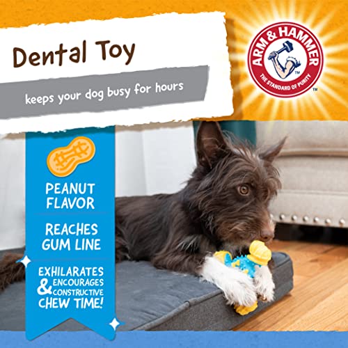 Arm & Hammer for Pets Nubbies Wishbone Dog Dental Toy| Best Dog Chew Toy for Moderate Chewers | Dog Dental Toy Helps Reduce Plaque & Tartar | Chicken Flavor Baking Soda (Pack of 1)