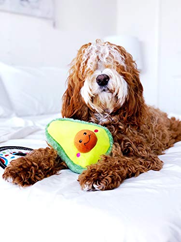 ZippyPaws Zp902 Nomnomz Avocado Dog Toy