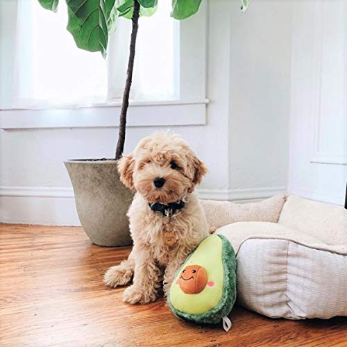 ZippyPaws Zp902 Nomnomz Avocado Dog Toy