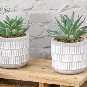 Der Rose Set of 2 Succulents Plants Artificial Fake Plants for Living Room Bathroom Bedroom Aesthetic Home Kitchen Decor