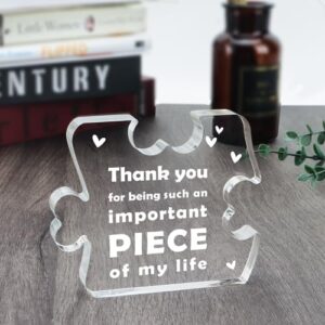 Appreciation Gifts for Women Men Thank You Teacher Gifts Gratitude Gifts for Friends Retirement Gifts for Coworker Mom Dad Wife Aunt Bestie Sister Grandma Leader Mentor Acrylic Plaque Home Desk Decor