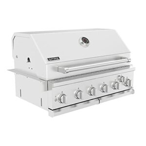 spire premium grill built-in head, 6-burner with rear burner propane grill, convertible to natural gas, 36 inches built-in island grill head, stainless steel, bbq grill island