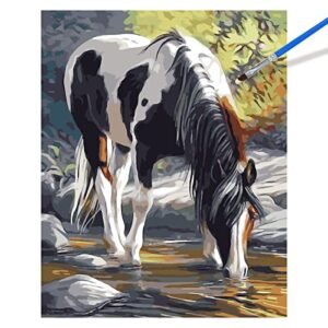 rasugarlary paint by numbers for adults beginner, diy horse paint by numbers kits on canvas, oil painting paintworks acrylic painting by numbers kits with for home decor gift 15.7x19.6