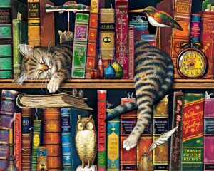 tumovo paint by numbers for adults, diy oil painting charles wysocki adult paint by numbers kits on canvas wall decor, frederick the literate painting kits for kids, cats & books - 16"x20"