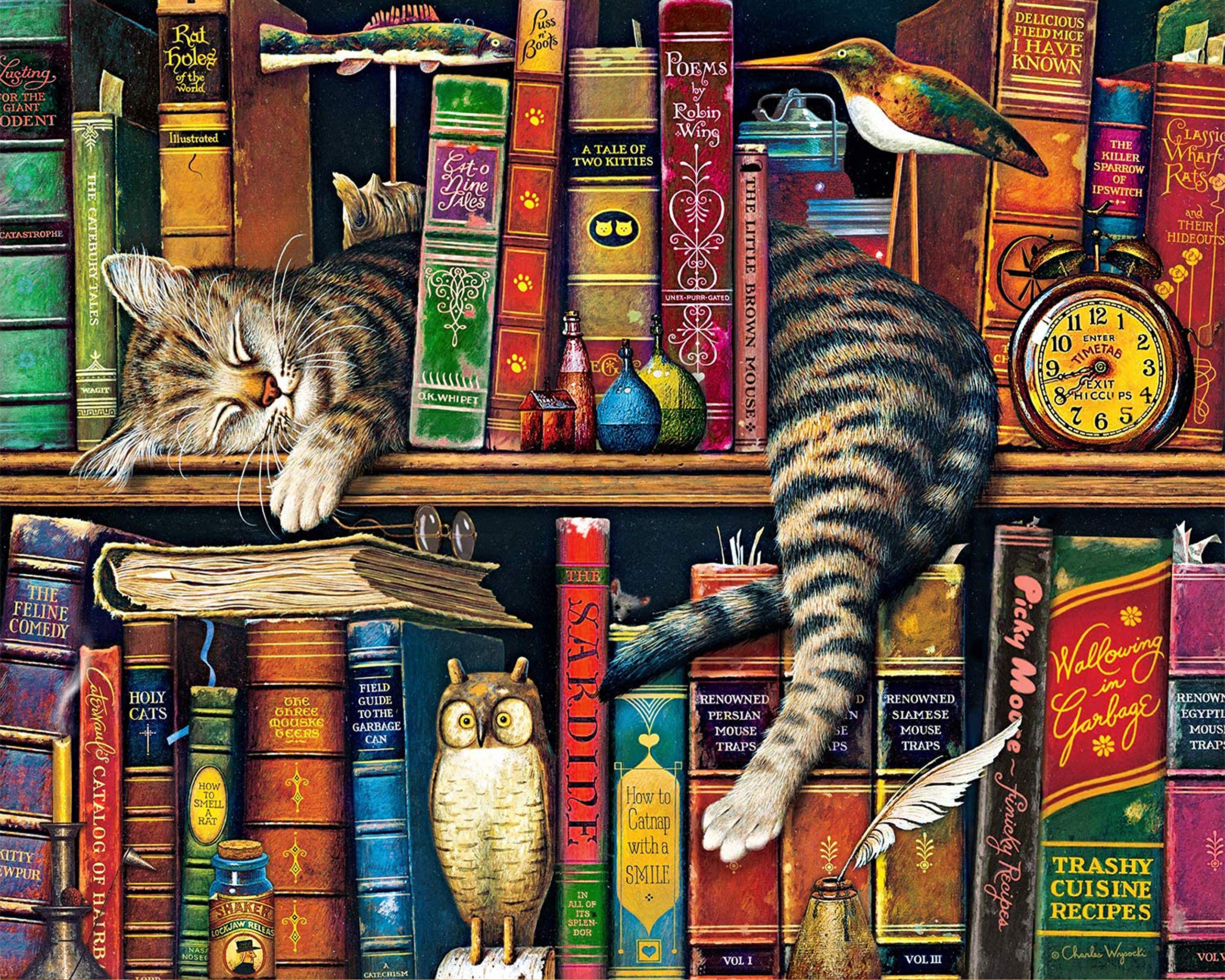 TUMOVO Paint by Numbers for Adults, DIY Oil Painting Charles Wysocki Adult Paint by Numbers Kits on Canvas Wall Decor, Frederick The Literate Painting Kits for Kids, Cats & Books - 16"x20"