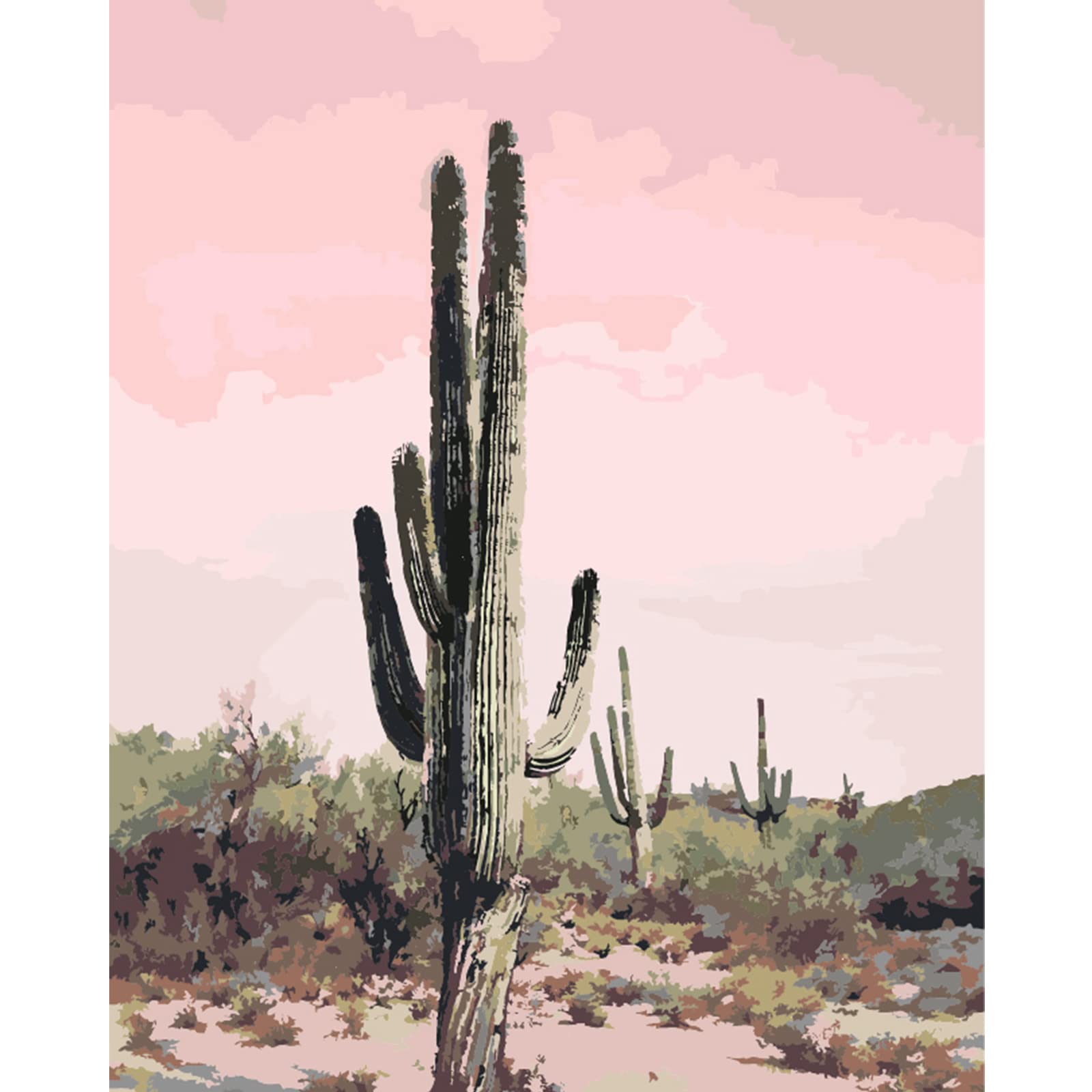 Tucocoo Saguaro Cacti Paint by Numbers Kits 16x20 inch Canvas DIY Oil Painting for, Students, Adults Beginner with Brushes and Acrylic Pigment - Desert Landscape Photo Gift(Without Frame)