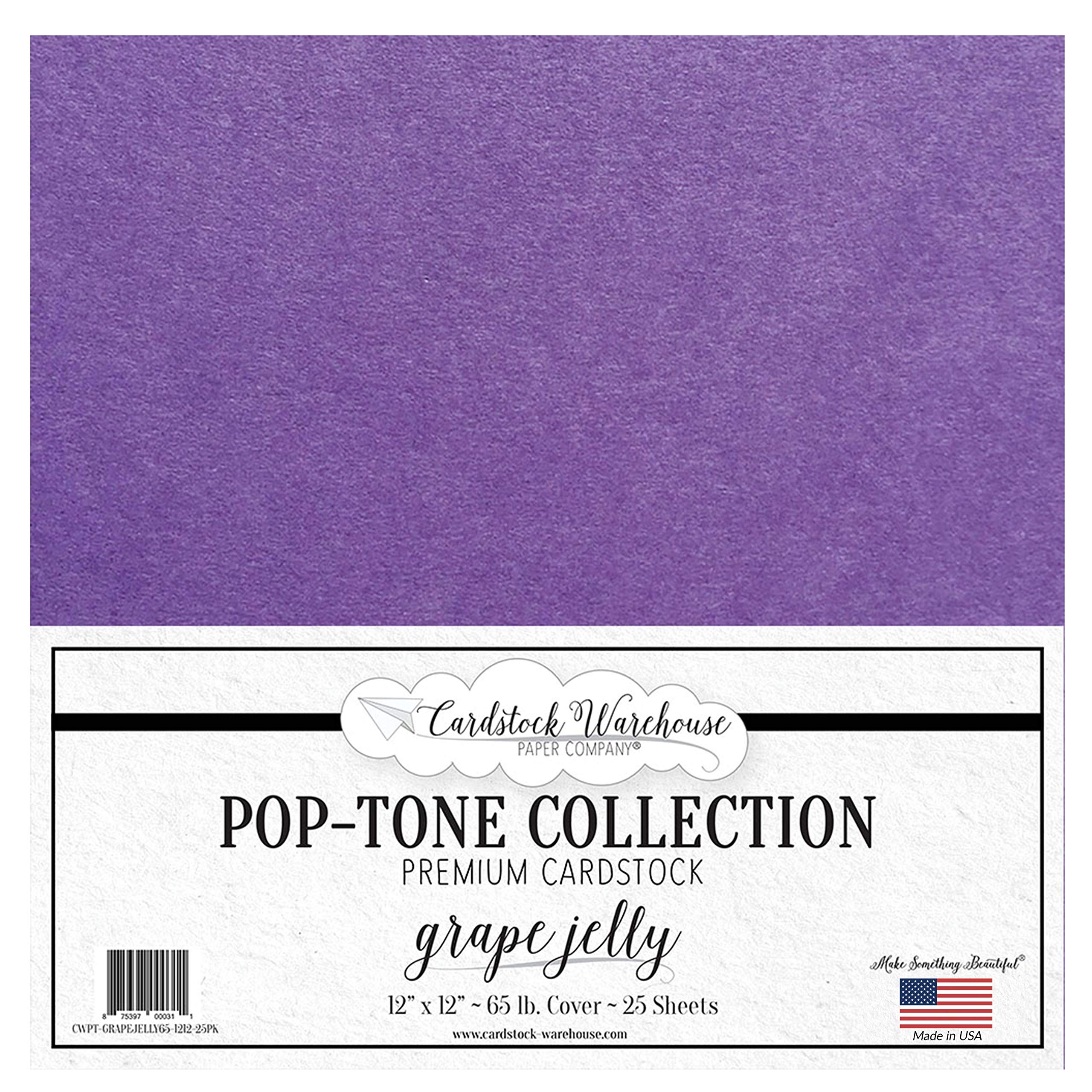 Cardstock Warehouse Pop Tone Grape Jelly Purple - 12 x 12" - 65 Lb. / 175 Gsm Matte Premium Cardstock Paper - 25 Sheets