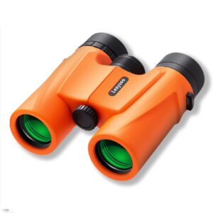 leaysoo 10x32 compact binoculars for adults and kids,high powered small binoculars, bak-4 fmc clear low light vison waterproof binoculars for bird watching, concerts, curise ship