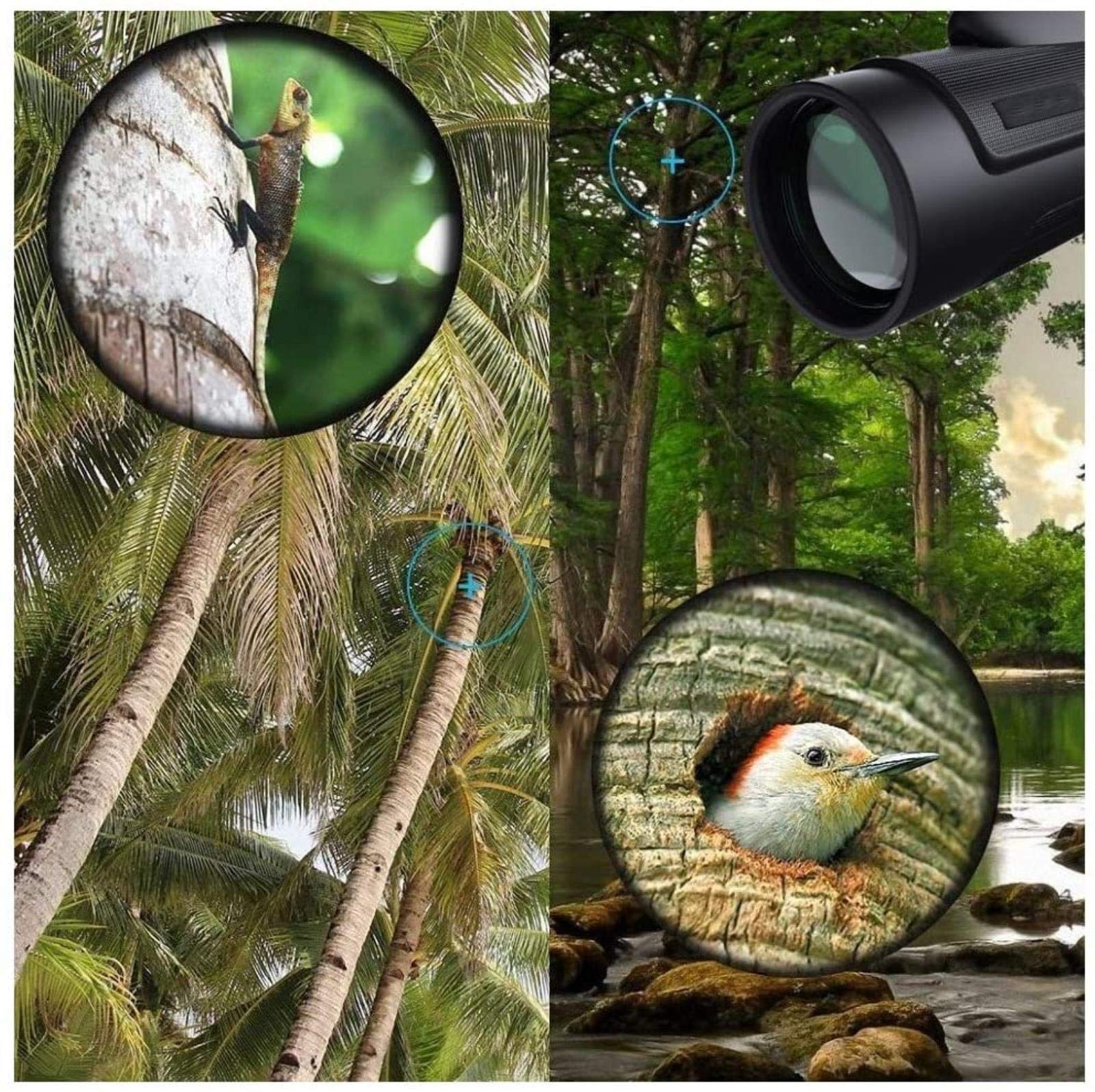 12x50 High Power BAK4 Prism FMC Lens Monocular Compact Portable Life Waterproof Monocular with Smartphone Adapter and Tripod for Adult Bird Watching, Outdoor